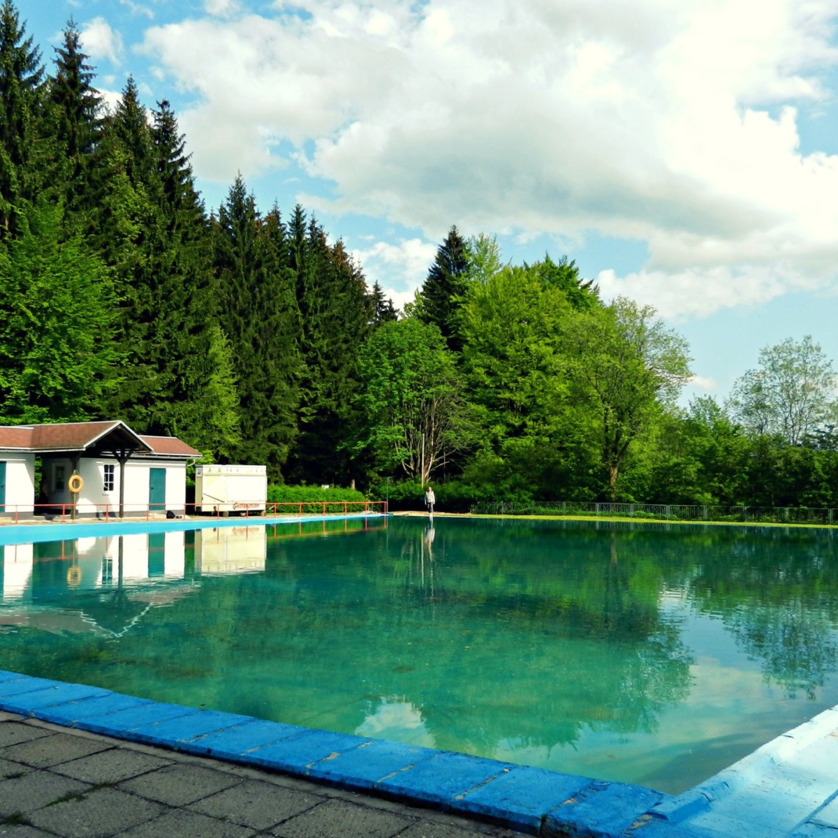 Foto Freitag: Picknicker im Treptower Park - Synke unterwegs