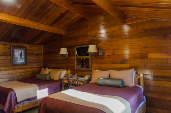 Tipps für Outdoor Aktivitäten in Jackson Hole, Wyoming - Synke unterwegs