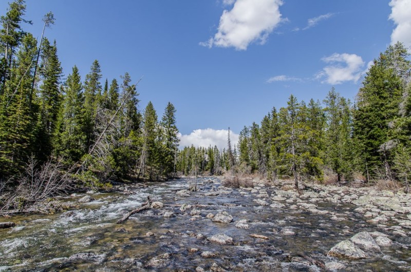 Tipps für Outdoor Aktivitäten in Jackson Hole, Wyoming - Synke unterwegs